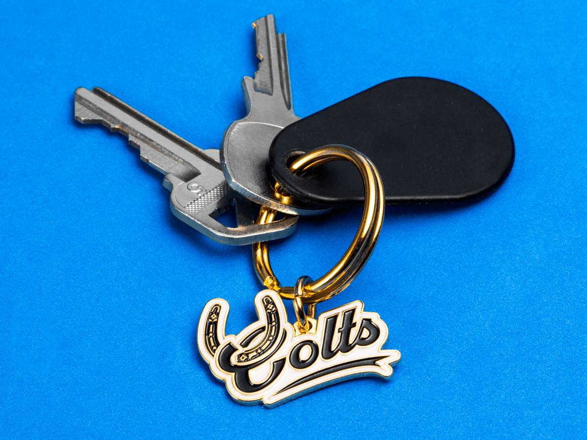 Custom Soft Enamel Keychains - Vibrant & Durable – Lapel Pins Plus